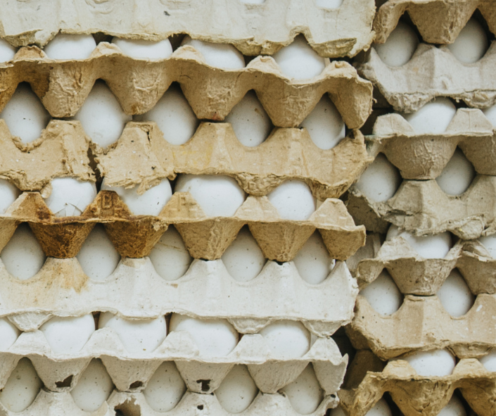 Resource Library - MarketLink